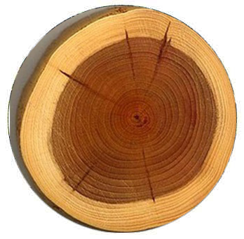 آوید چوب سازنده ی انواع سازه های چوبی و پیش ساخته به صورت مهندسی توسط ...